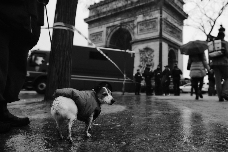 Paris_farmers_protest | Epress.am